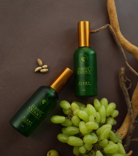 Clean Beauty: Unveiling the Truth Behind Non-Toxic Skincare – The ...